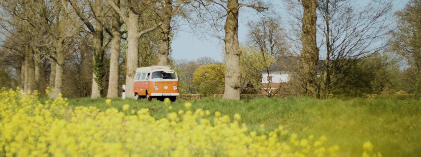 Contact Us - Froli Systems